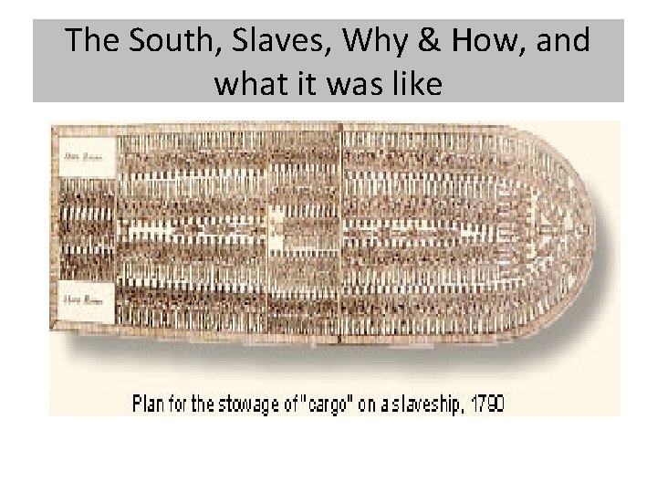 The South Slaves Why How and what it