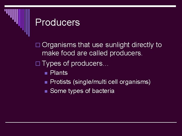 Bell work o Indian pipe is a plant