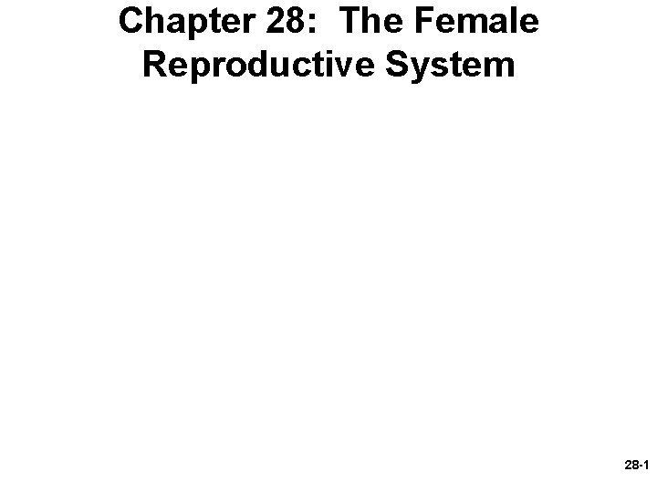 Chapter 28 The Female Reproductive System 28 1