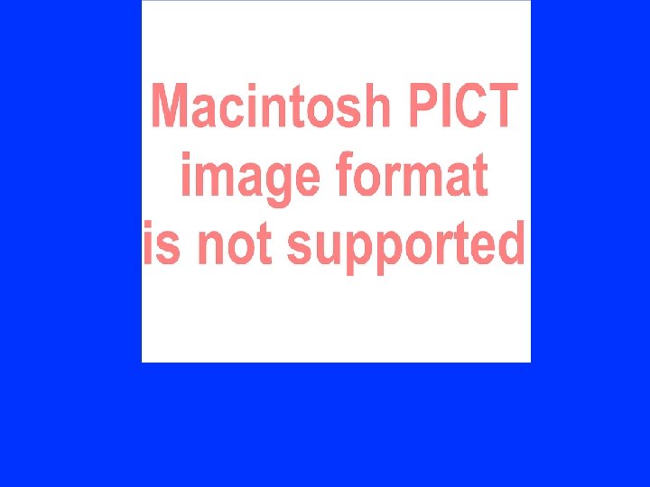 James Mcbride Accomplishments Author Musician Screen Writer His