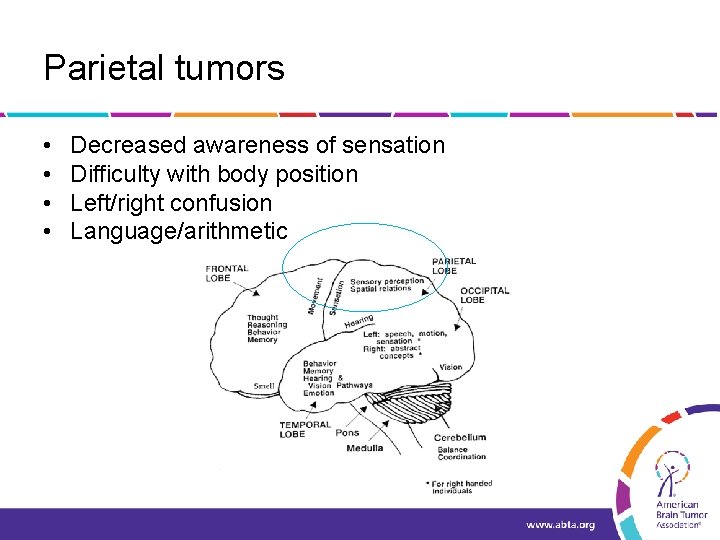 Brain Tumors Physical Symptoms and Side Effects Presented
