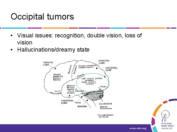 Brain Tumors Physical Symptoms and Side Effects Presented