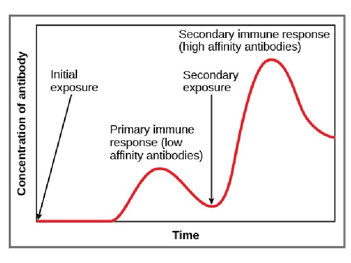 TYPES OF IMMUNITY AND METHODS OF CURING DISEASE