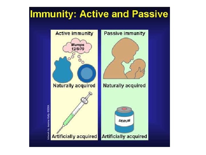TYPES OF IMMUNITY AND METHODS OF CURING DISEASE