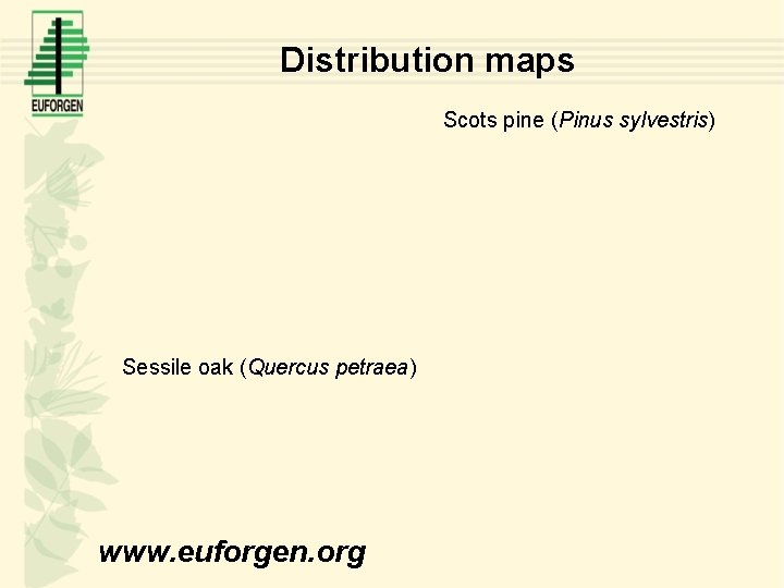 Climate change forest genetic resources and sustainable forest