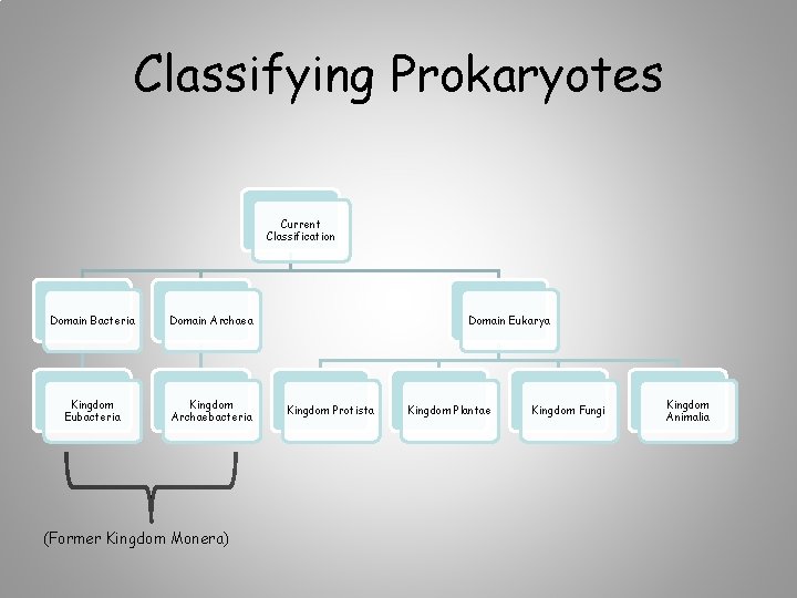 Viruses and Prokaryotes Biology II Viruses Replicate only
