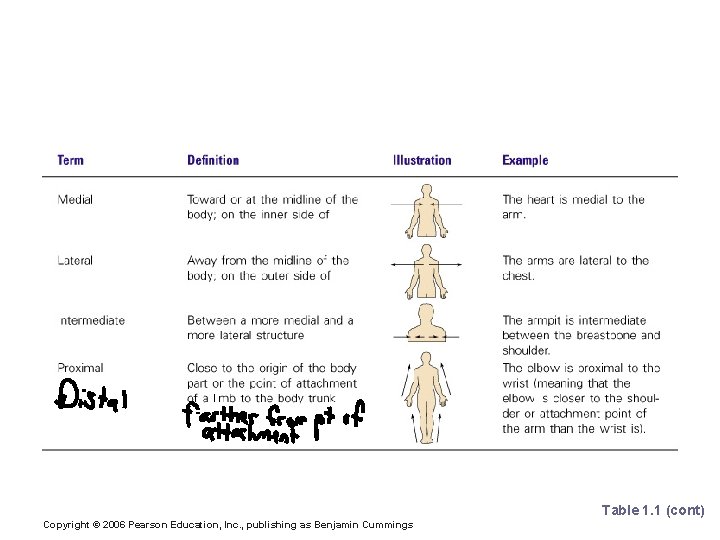 1 PART C The Human Body An Orientation