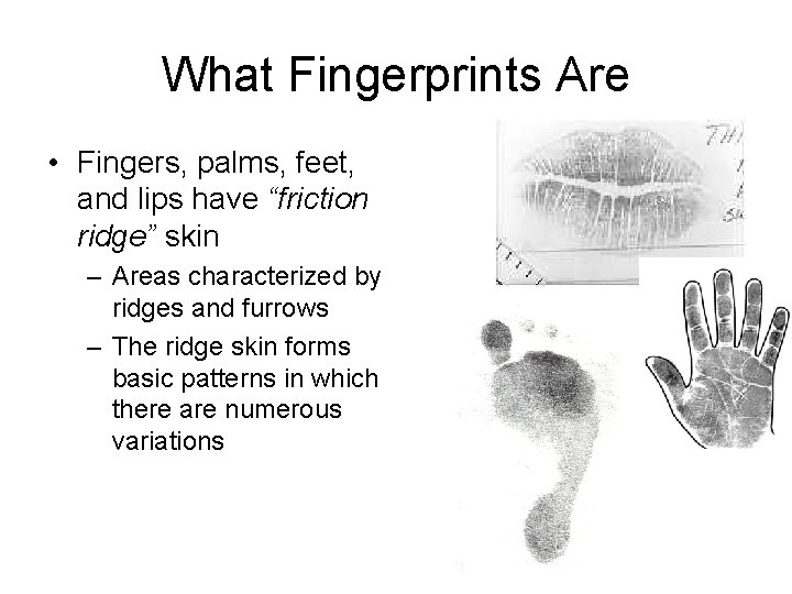 Fingerprints Ch 17 Pgs 341 360 Fingerprints cannot