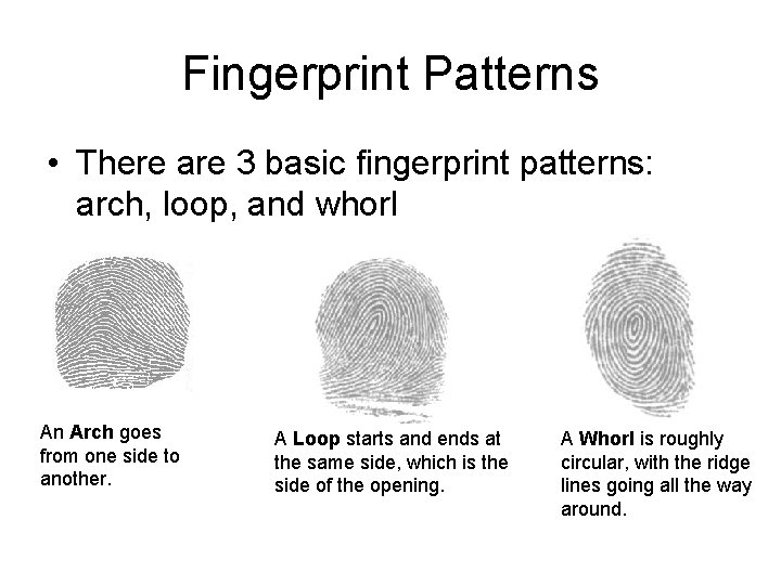 Fingerprints Ch 17 Pgs 341 360 Fingerprints cannot