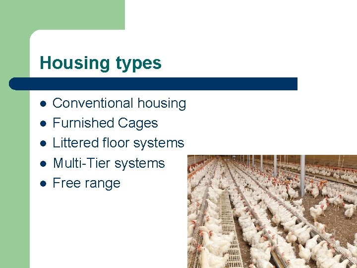 Poultry Husbandry Training Module Adapted from Guide for