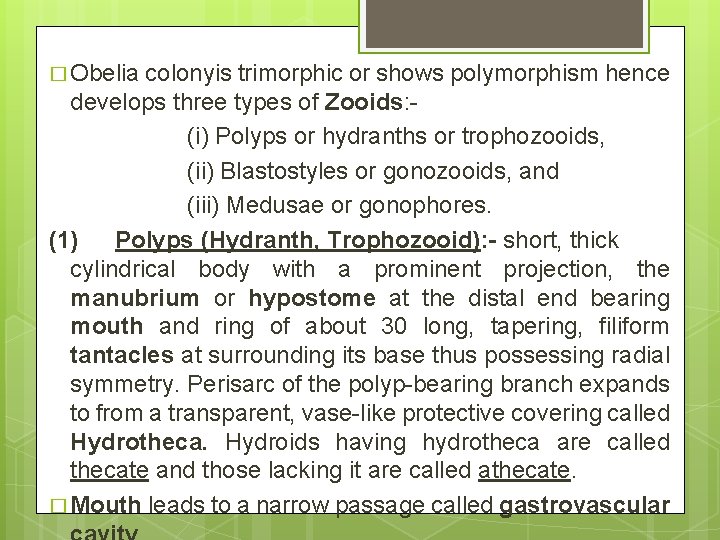 Obelia the sea fur Dr Anil Pawar Department