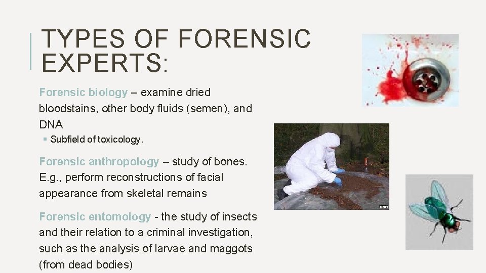 FORENSICS AND EXPERTS Dr Melissa de VelPalumbo OUTLINE