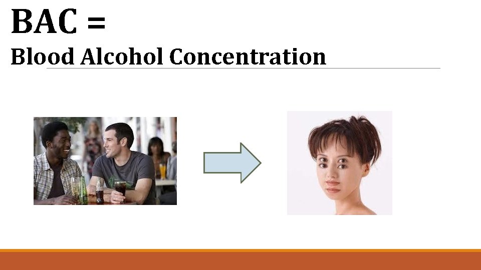 Todays Agenda Bellringer Blood Alcohol Concentration Laws and