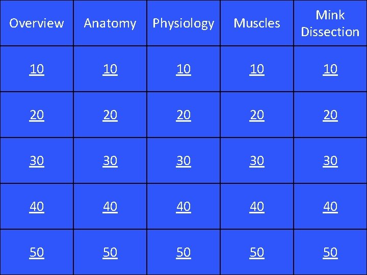 Muscular System Exam Overview Anatomy Physiology Muscles Mink