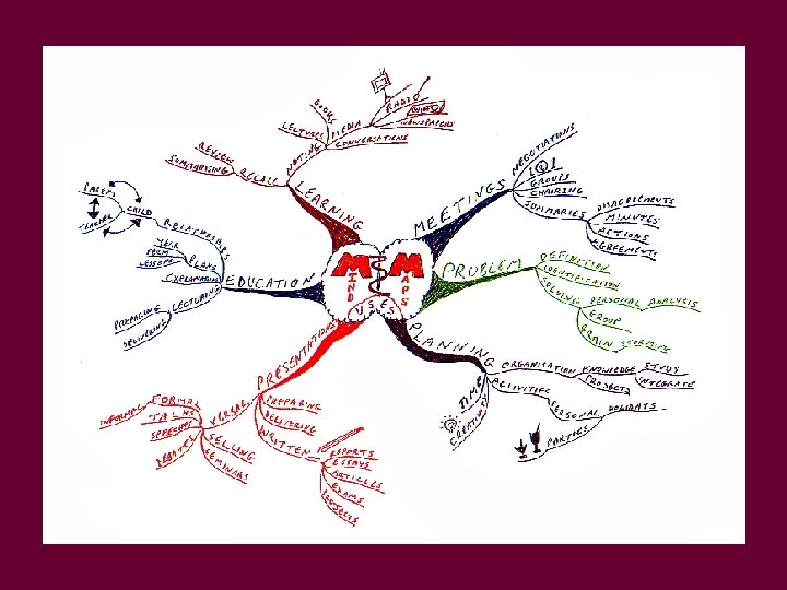Topogramme Schma heuristique Mind Map Quest ce que