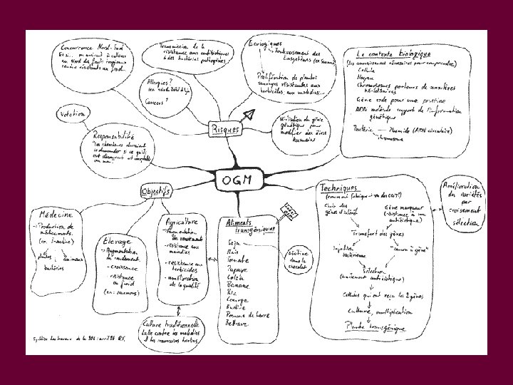 Topogramme Schma heuristique Mind Map Quest ce que