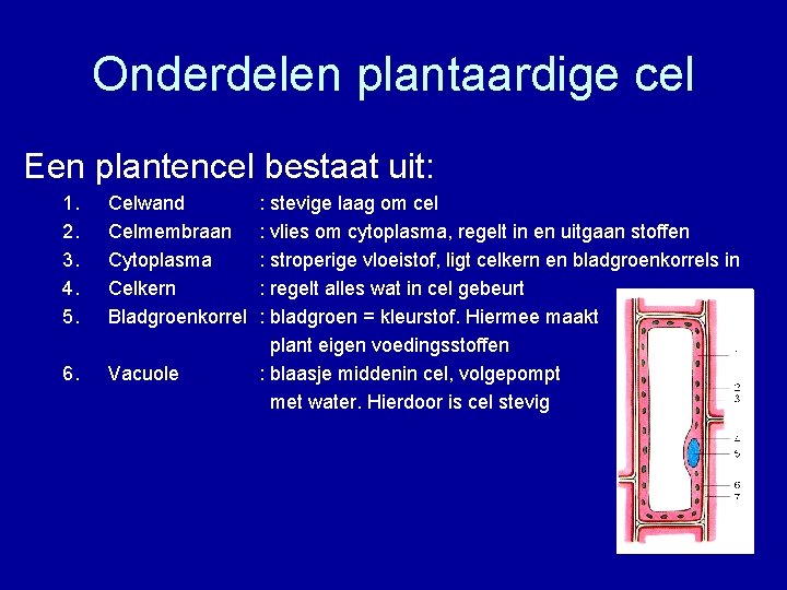 Hoofdstuk 5 PLANTEN 5 1 Planten bekijken Plant