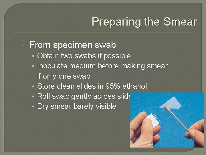 Lesson 7 4 The Gram Stain Overview Bacterial