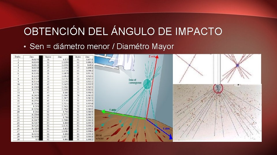 HEMATOLOGA RECONSTRUCTIVA EL LENGUAJE DE LA SANGRE Mtro