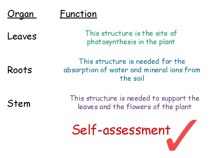 Leaves Progress Indicators Describe the structure and function
