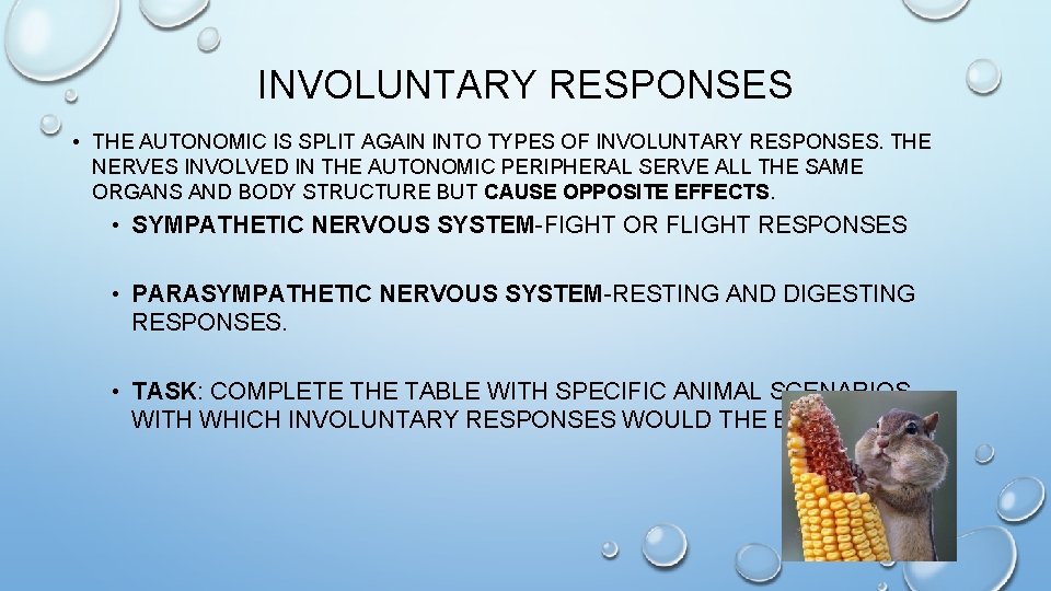 THE PERIPHERAL NERVOUS SYSTEM EMILY BEAUMONTMCALLEN RECAP CHOOSE