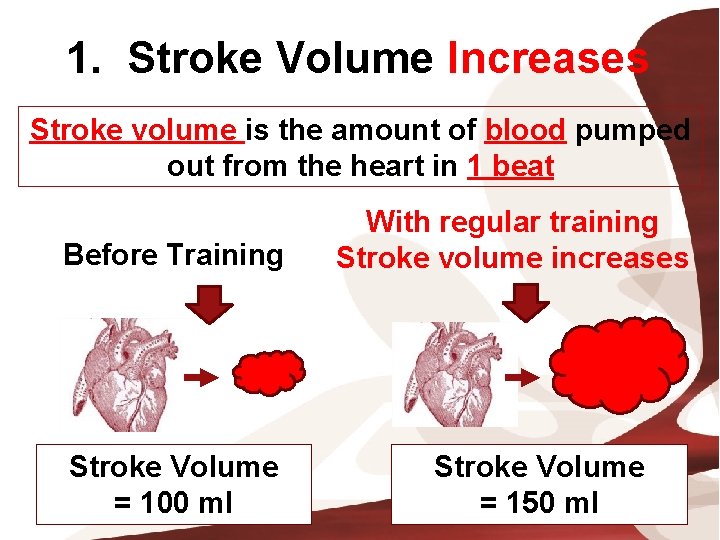 Topic 7 The Cardiovascular System Learning Objectives To