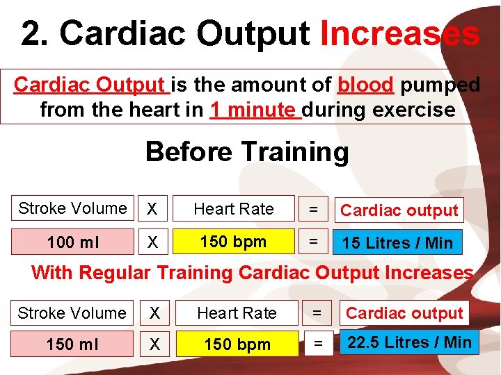 Topic 7 The Cardiovascular System Learning Objectives To