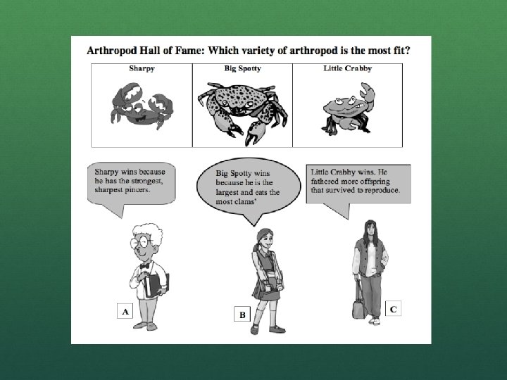 Hardy Weinberg Investigation 2 Battling Beetles Lab Journal