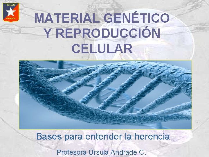 MATERIAL GENTICO Y REPRODUCCIN CELULAR Bases para entender