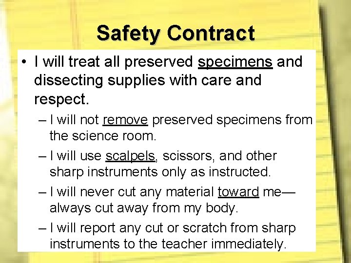 Science Safety Safety is the Responsibility of EVERYONE