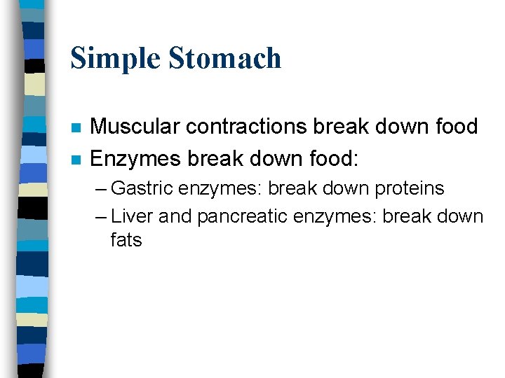 Introduction to the Digestive System Digestive System n