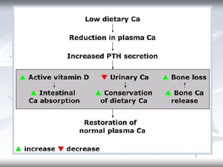 Calcium Homeostasis By Dr Shereen Samir Normal level