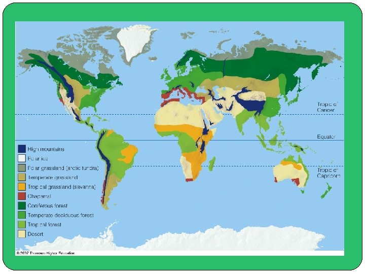 Terrestrial Ecology Part Two Biogeochemical Cycles Biomes Succession