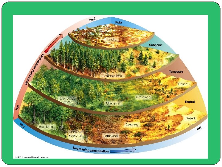 Terrestrial Ecology Part Two Biogeochemical Cycles Biomes Succession