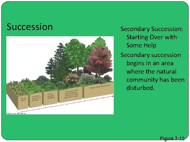 Terrestrial Ecology Part Two Biogeochemical Cycles Biomes Succession
