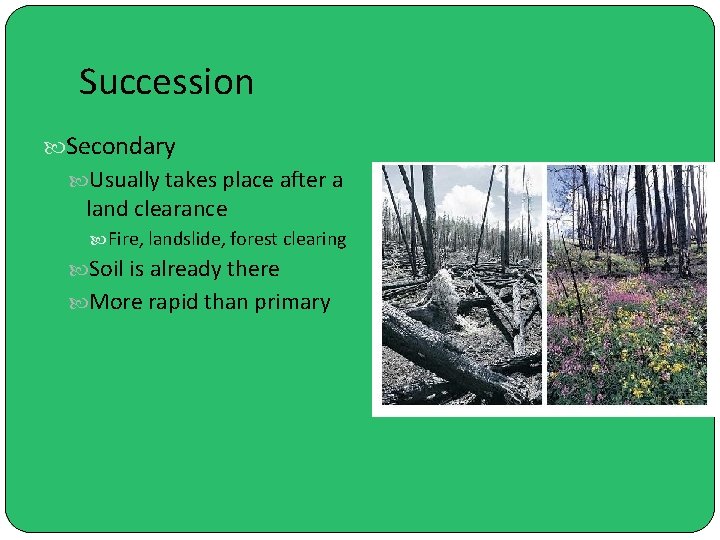 Terrestrial Ecology Part Two Biogeochemical Cycles Biomes Succession
