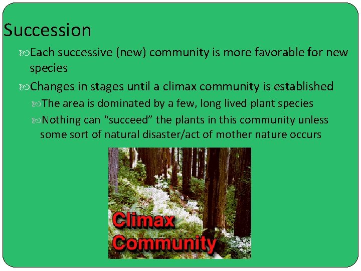 Terrestrial Ecology Part Two Biogeochemical Cycles Biomes Succession