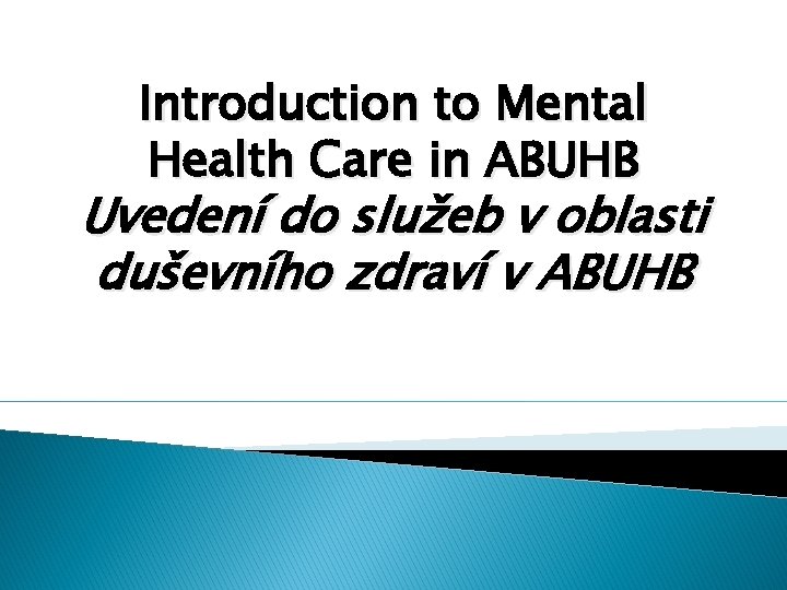 Crisis and Acute Services Webinar 29 th January