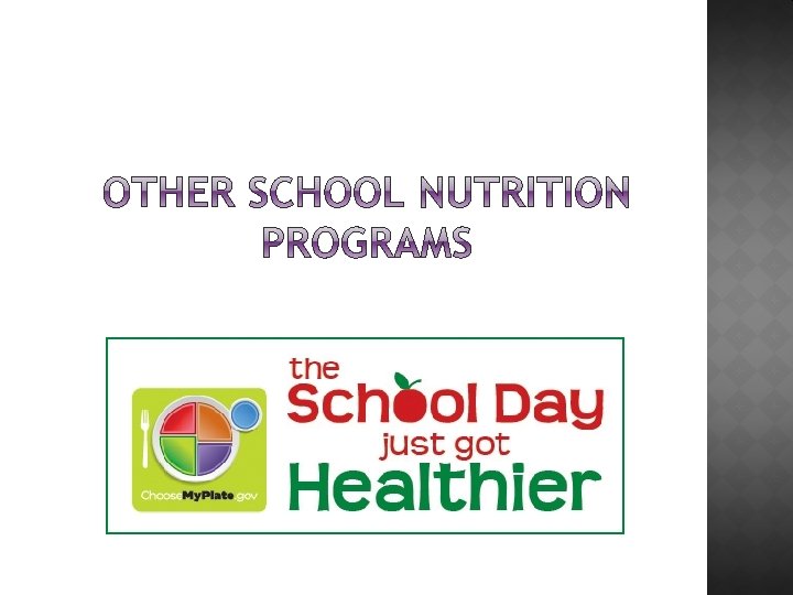 FUEL FOR SCHOOL An overview of school nutrition