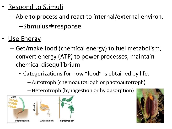 Biology Science of Life What do Biologists do