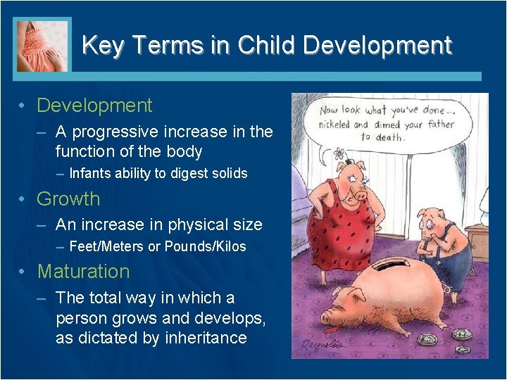 Chapter 15 An Overview of Growth Development and