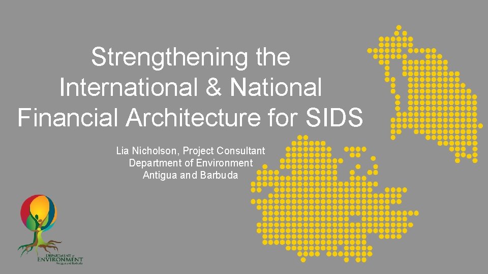 Strengthening the International National Financial Architecture for SIDS