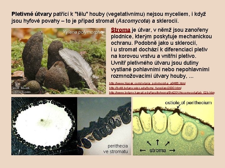 MODULARIZACE VUKY EVOLUN A EKOLOGICK BIOLOGIE CZ 1