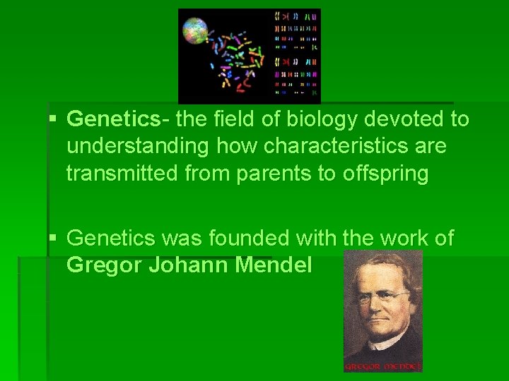 Mendels Legacy Section 9 1 Genetics the field