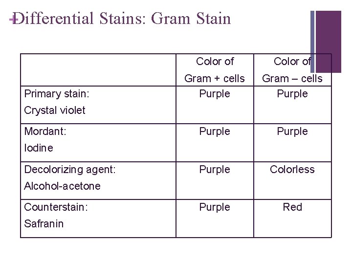 LAB 7 AND 8 Preparation of Specimens for