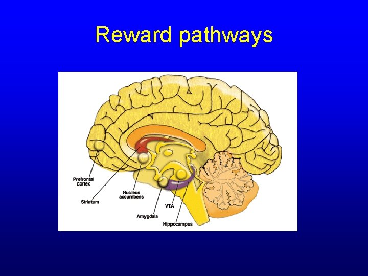 Improving safety and efficacy of opioid prescribing for