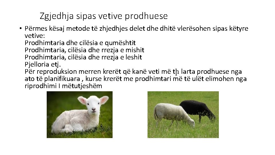 Shkolla e Mesme e Lart e Agrobiznesit dhe