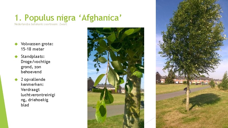 Nieuwe aanplant stad Hardenberg Plantlijst 481 500 Kaartje