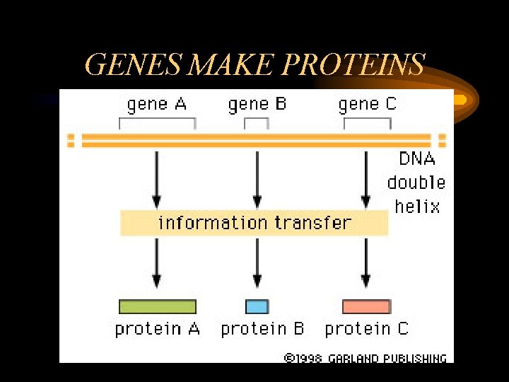 THE NEW MEDICINE AND BIOLOGY Will they be