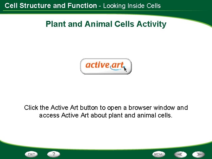 Cell Structure and Function Table of Contents Discovering
